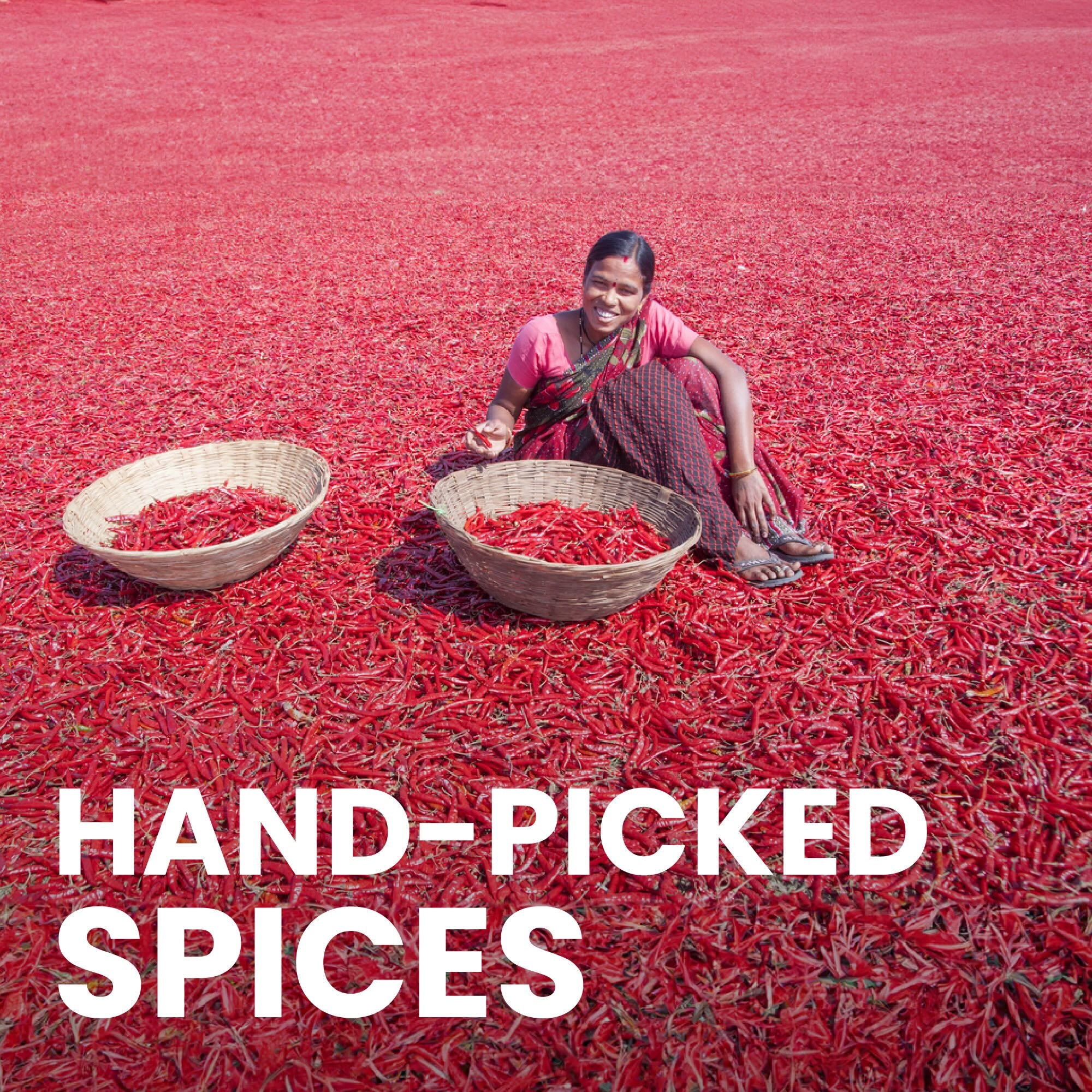 India's No.1 Pickle Brand - The Achaar Library